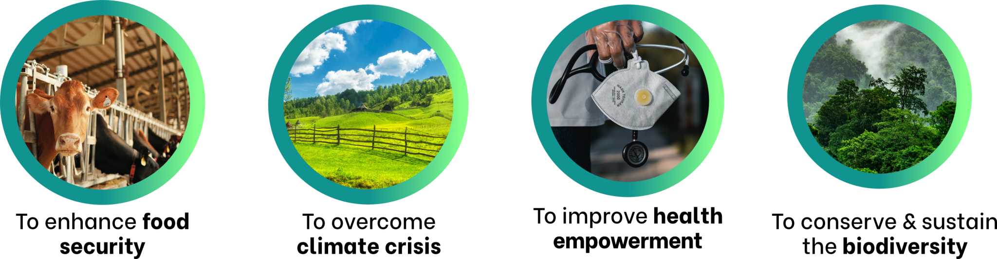 RESEARCH PILLARS – Institute of Planetary Survival for Sustainable Well ...